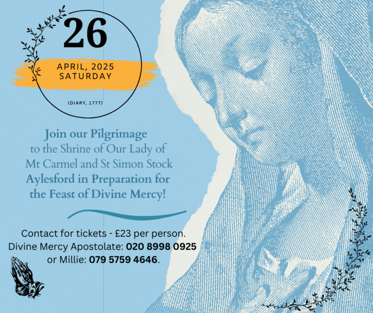 Home - Divine Mercy Apostolate